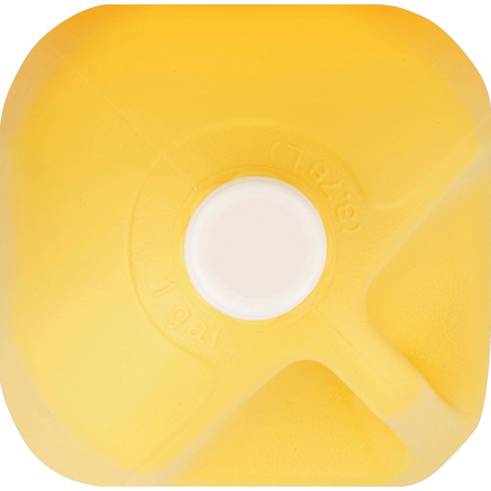 Mayfield Skim Milk - 1gal 1 gal | Shipt