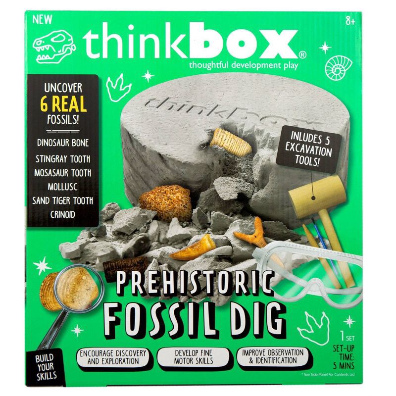 Prehistoric Fossil Dig Activity Kit - Think Box 1 ct | Shipt