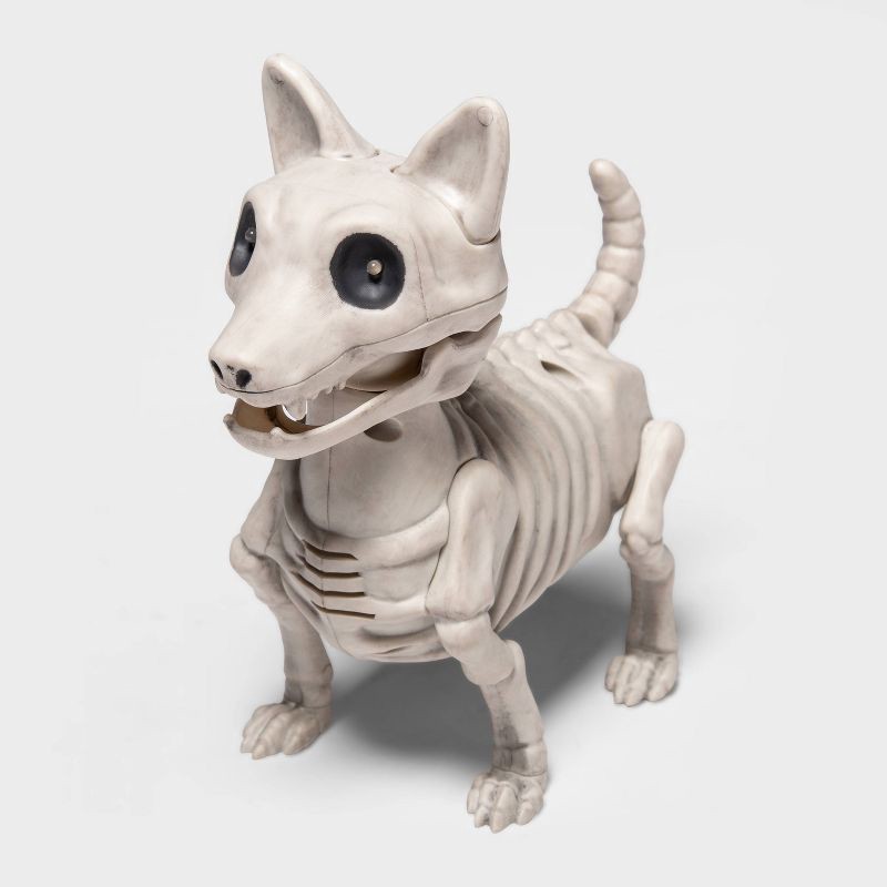 Dog Skeleton Halloween