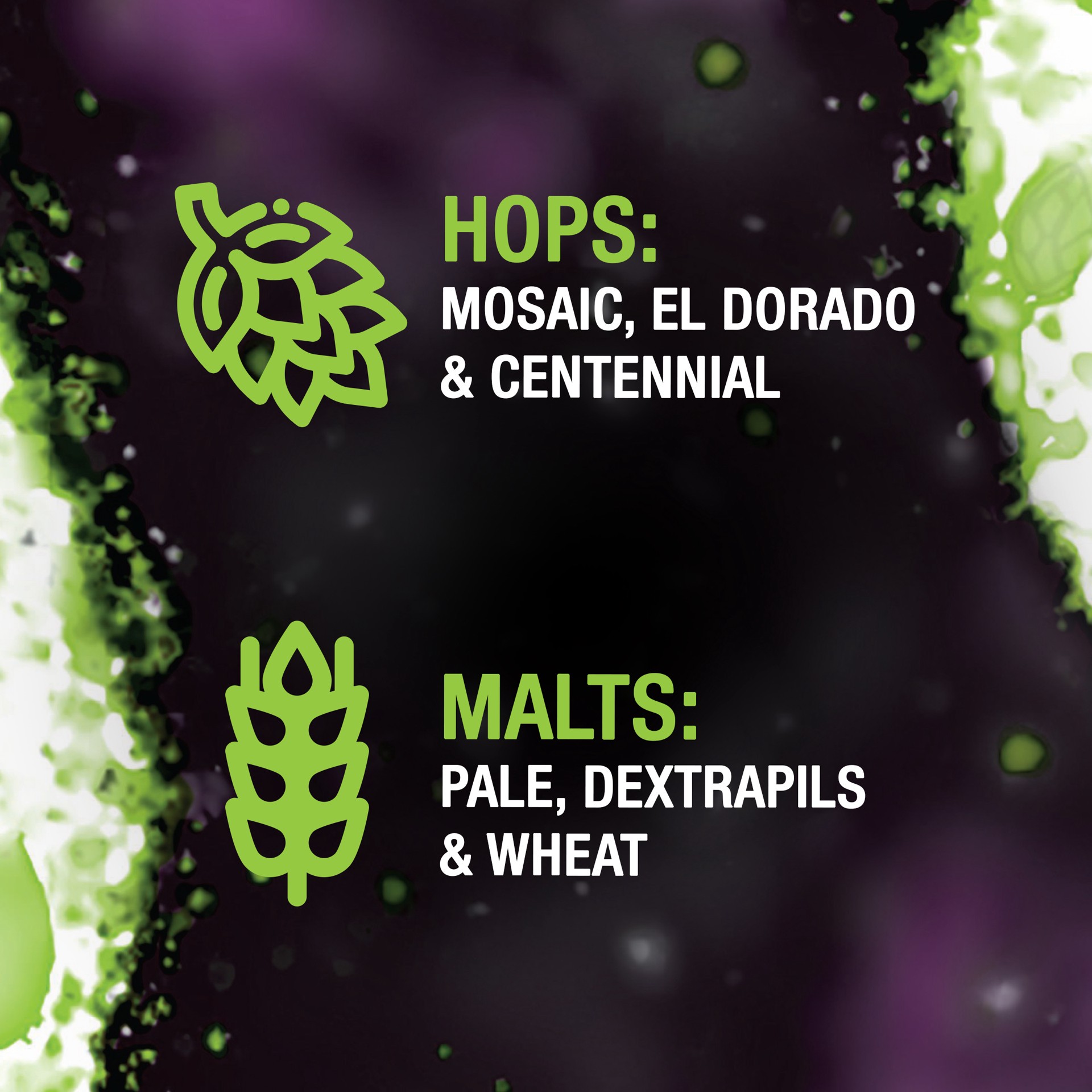 Elysian Space Dust IPA Craft Beer, India Pale Ale Beer 12 ct; 12 oz | Shipt