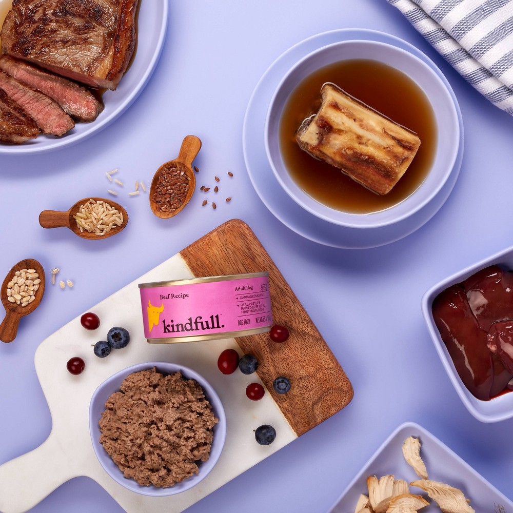 Beef Recipe Wet Dog Food - 5.5oz - Kindfull 5.5 oz | Shipt