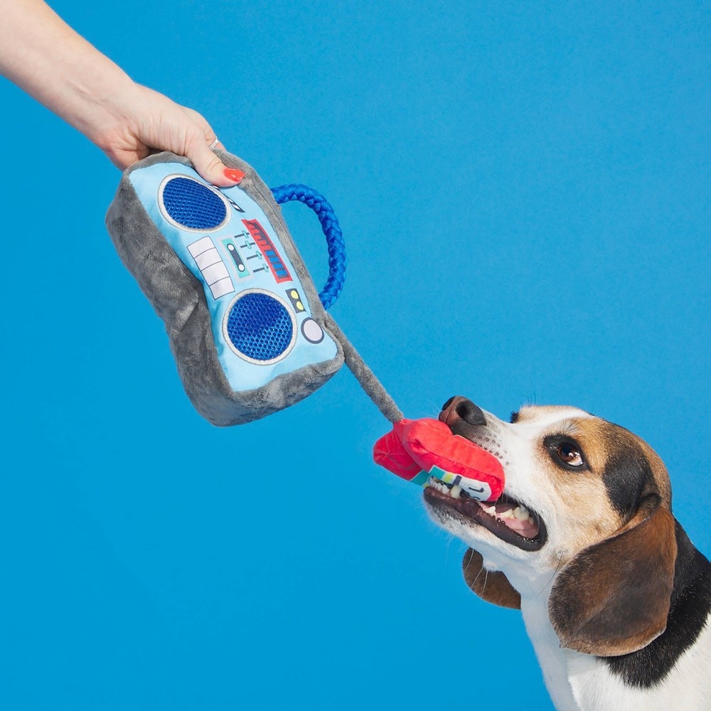 BARK Boombox Dog Toy - Summer Jamz Boombarks 1 ct | Shipt