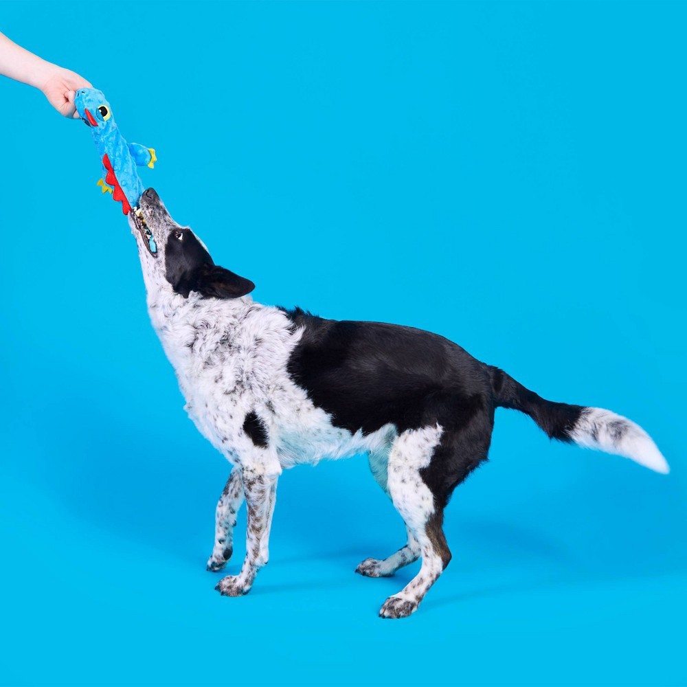 BARK Izzy Lizzy Lava Lizard Dog Toy 1 ct | Shipt