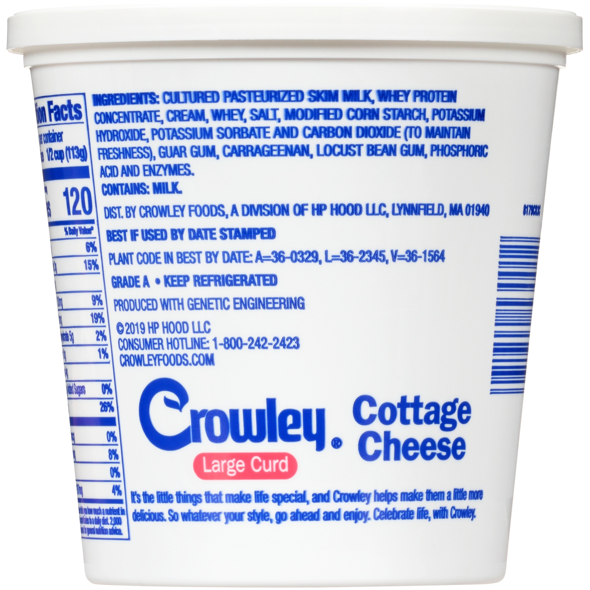 Crowley Large Curd Cottage Cheese 24 oz | Shipt