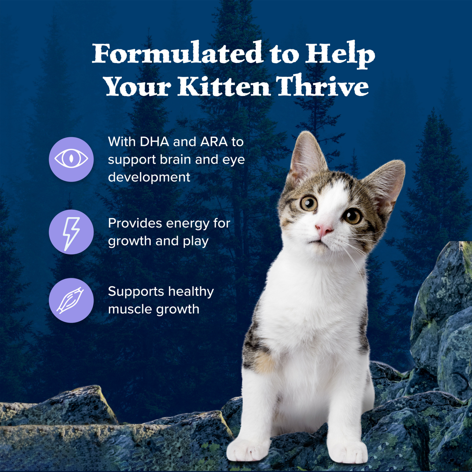 Blue Buffalo Wilderness Natural Kitten Dry Cat Food, with DHA and ARA, High-Protein and Grain ...