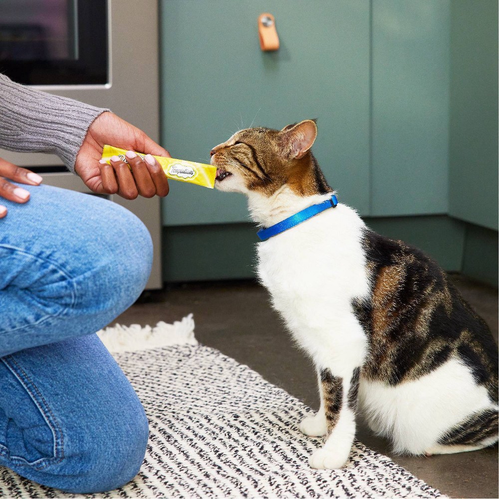 Temptations Creamy Puree with Chicken Lickable Adult Cat Treats - 24ct ...