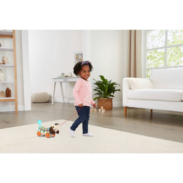LeapFrog Wooden AlphaPup 1 ct | Shipt