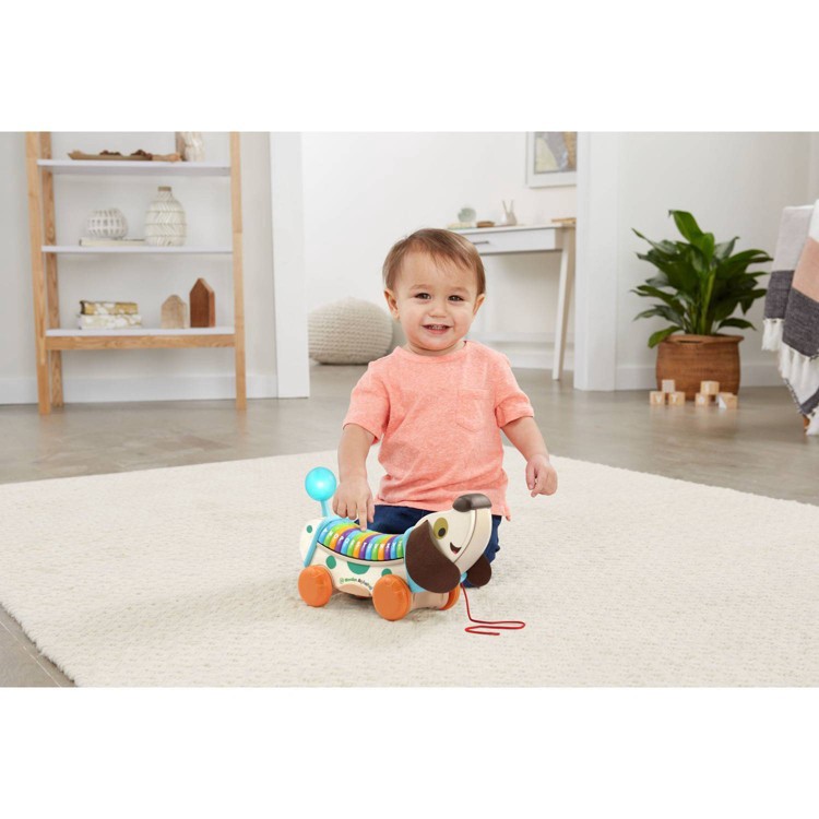 LeapFrog Wooden AlphaPup 1 ct | Shipt
