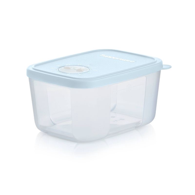 Tupperware Date Store & Freeze - 3C Freezer Container 1 ct | shipt