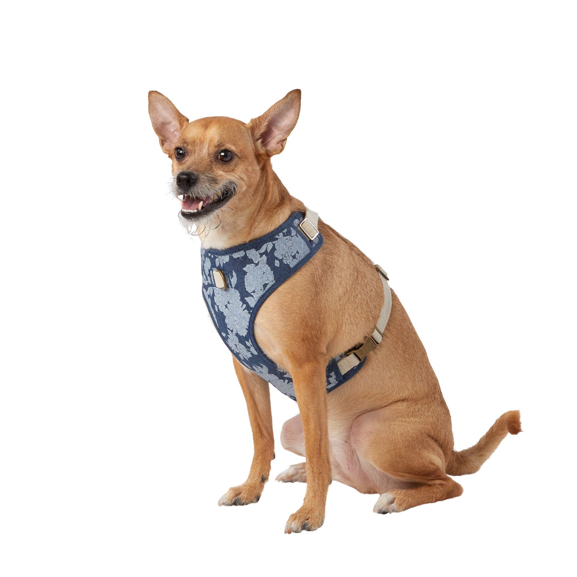 Top Paw Blue Stars Dog Harness 1 ct; X small | shipt