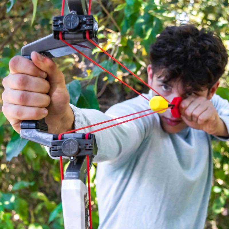Hog Wild Quick Switch Bow 1 ct | shipt