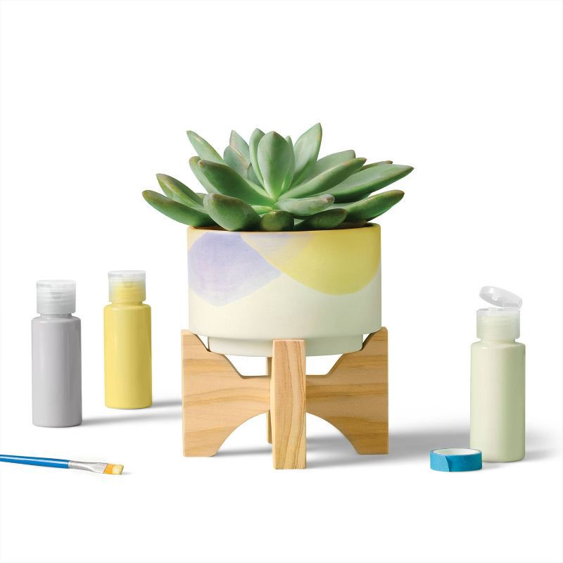 Paint-Your-Own Ceramic Flower Pot Kit - Mondo Llama 1 ct | Shipt