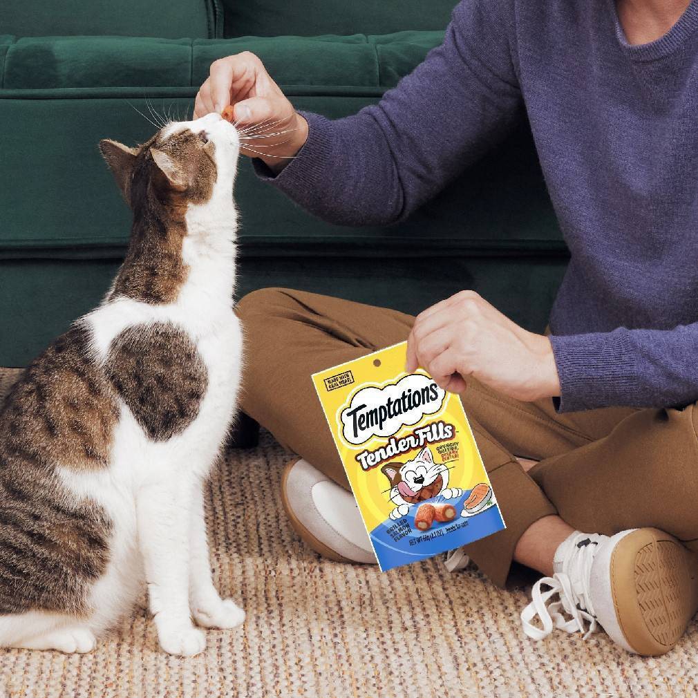 Temptations Tender Fills Grilled Salmon Flavored Cat Treat - 2.1oz/12ct ...