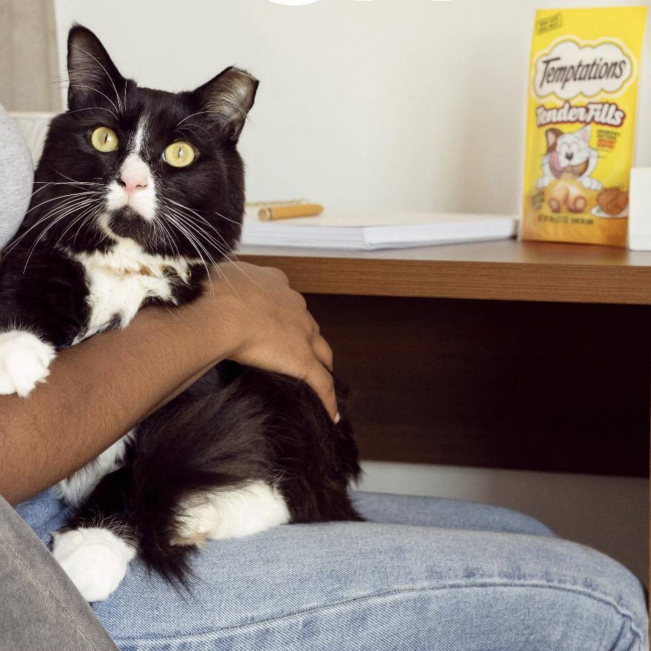 Temptations Tender Fills Roasted Chicken Cat Treat - 2.1oz/12ct 12 ct ...