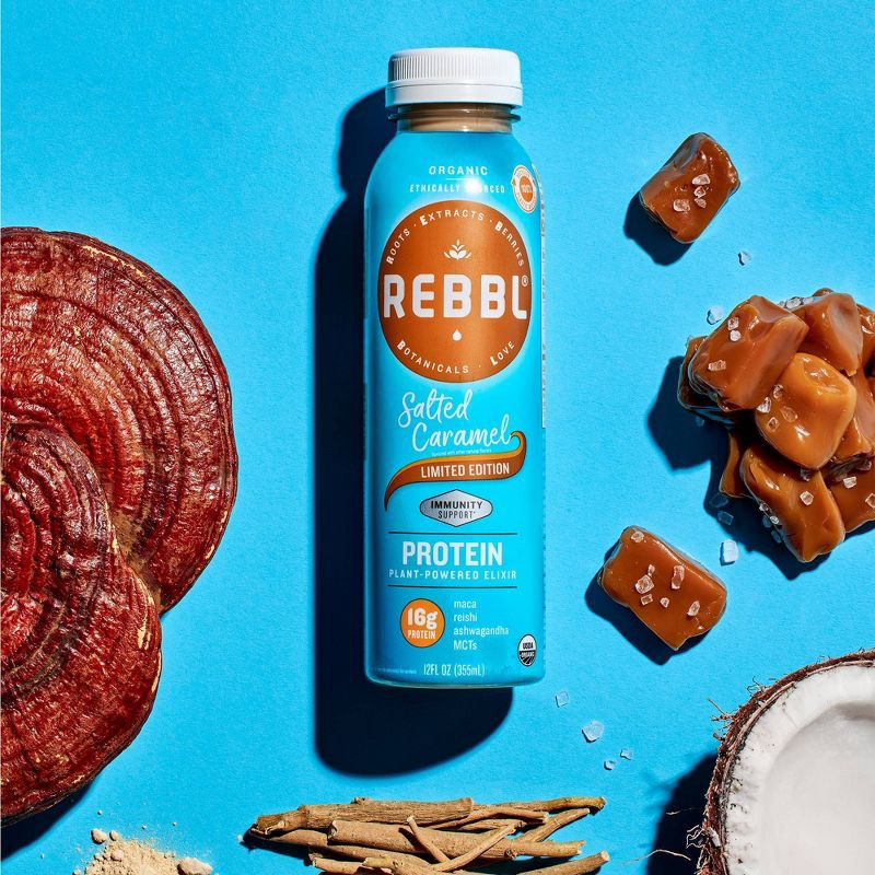 REBBL Salted Caramel Protein Drink - 12 fl oz 12 fl oz | Shipt