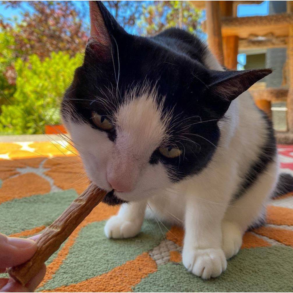 Vitakraft Purr Sticks Cat Treat Chicken Flavor - 1.26oz/6ct 6 ct; 1.26 ...