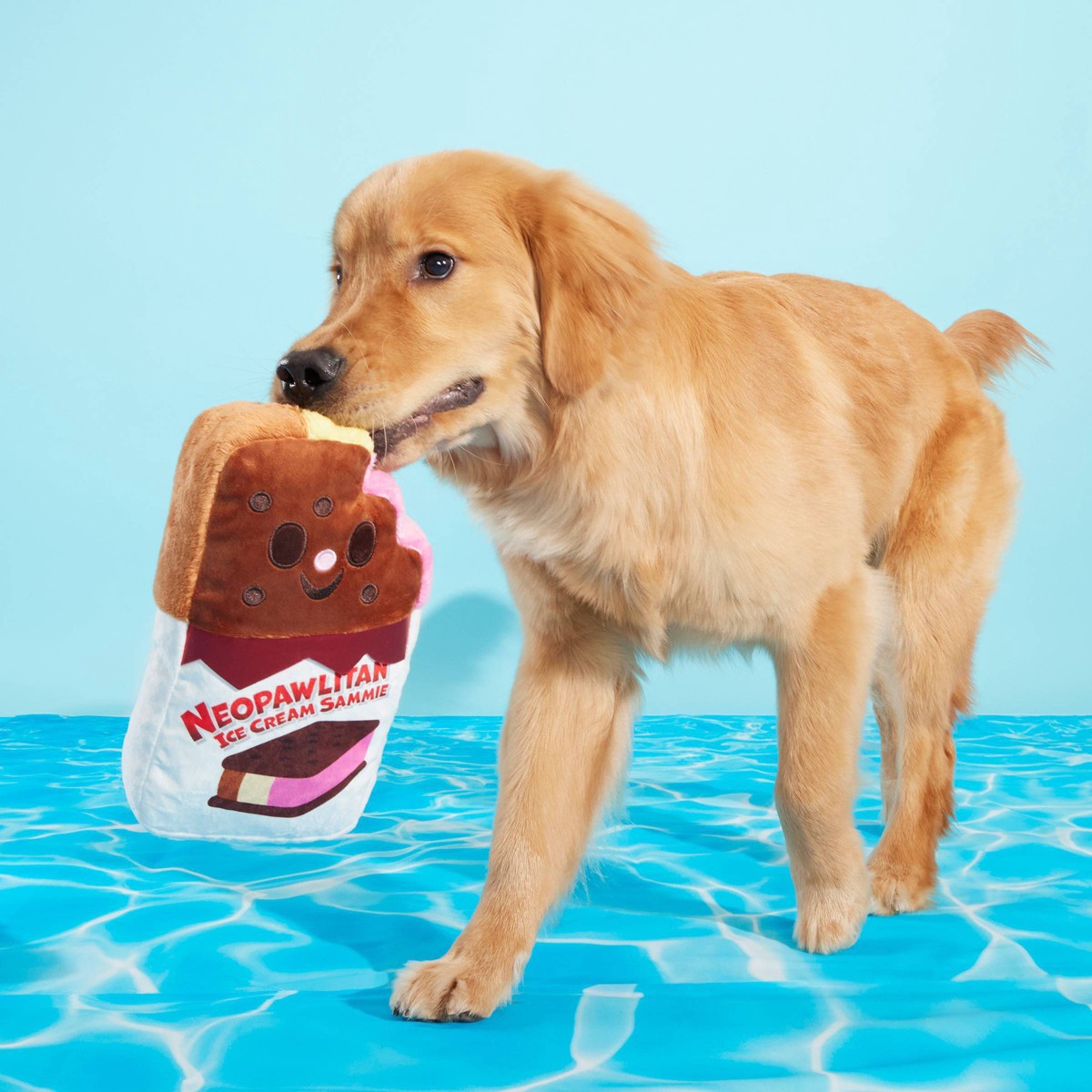 BARK Grand Slam Ice Cream Sam Dog Toy 1 ct | Shipt