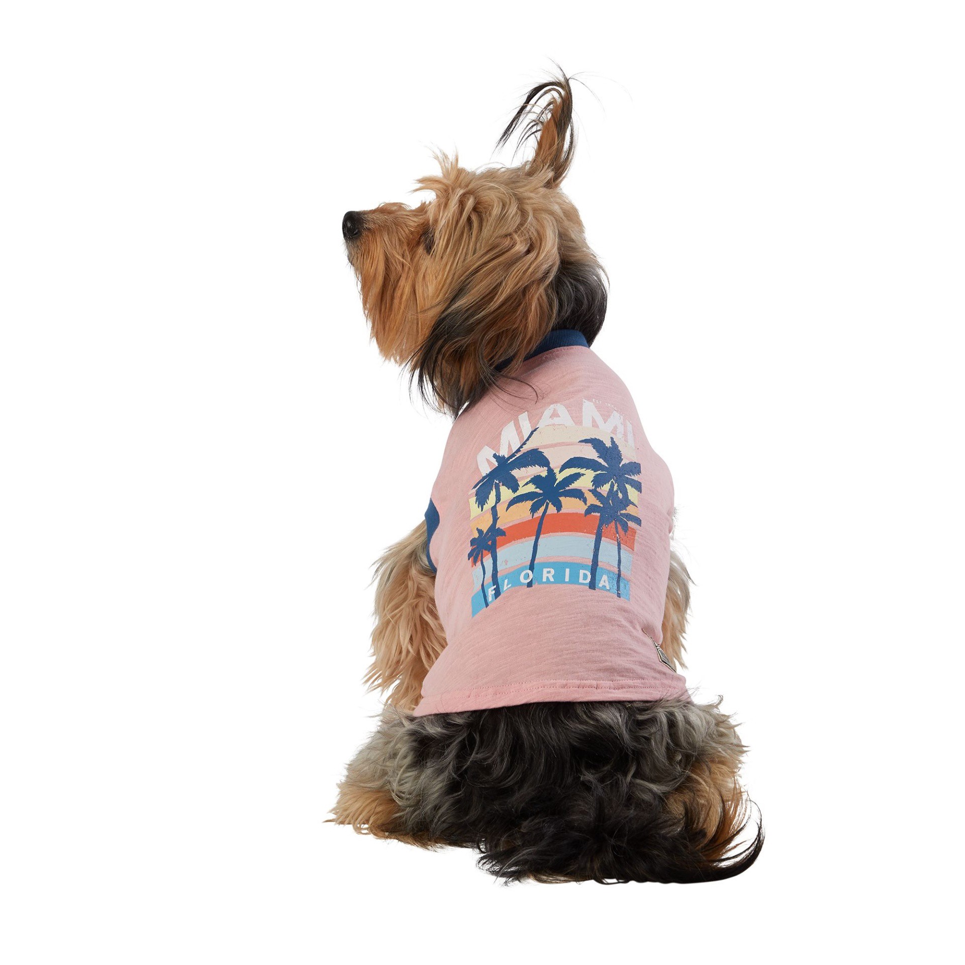 Top Paw Miami Florida Graphic Pet Tee SM | shipt