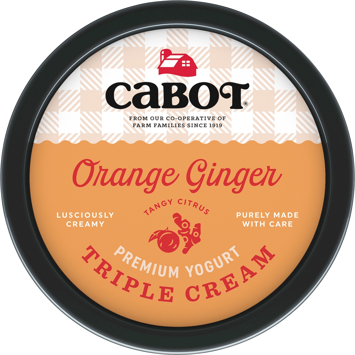 Cabot Orange Ginger Triple Cream Premium Yogurt 8 oz 8 oz | Shipt