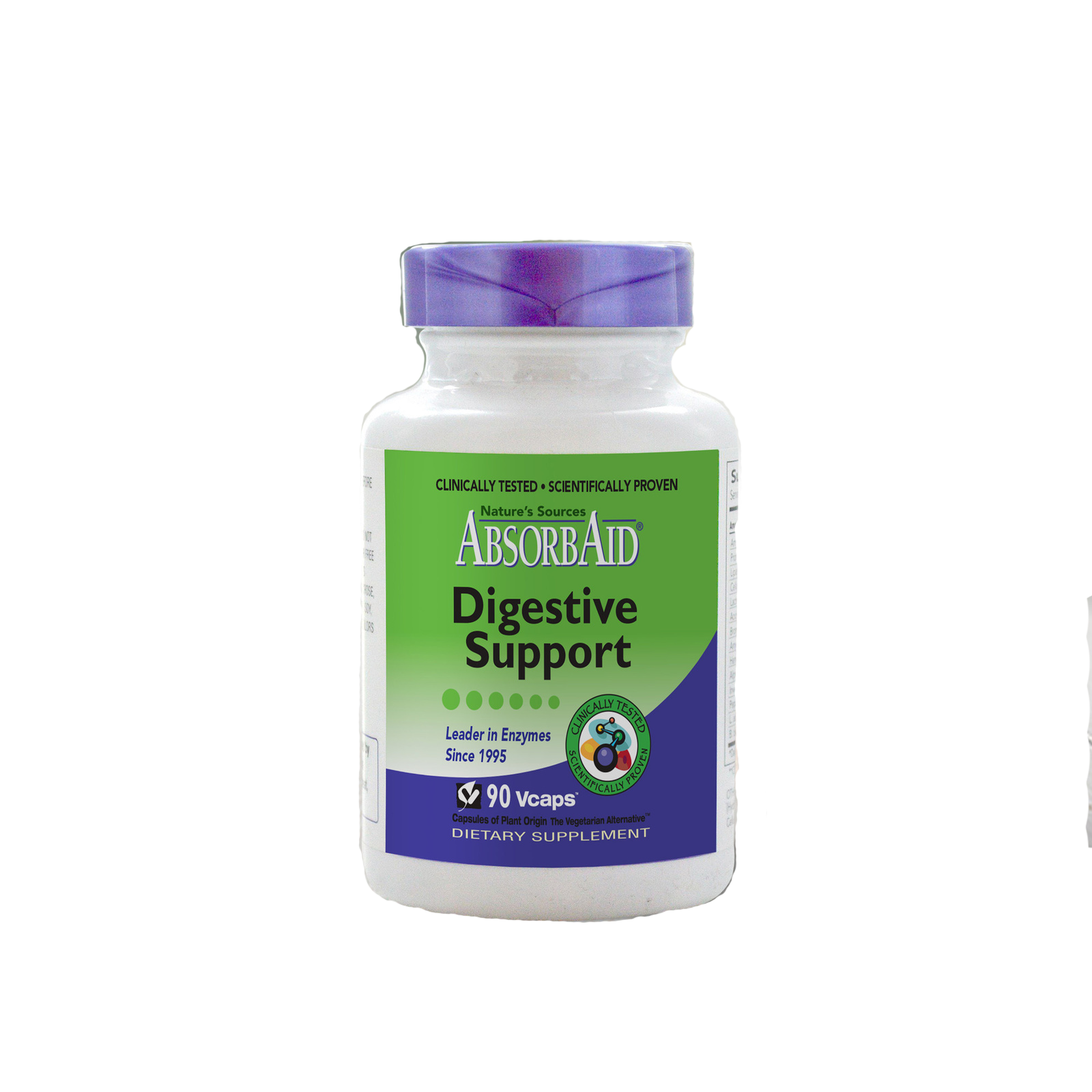 AbsorbAid Digestive Support 90 ea 90 ct | Shipt