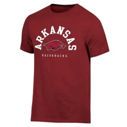 NCAA Arkansas Razorbacks Men's Core T-Shirt - L 1 ct | shipt