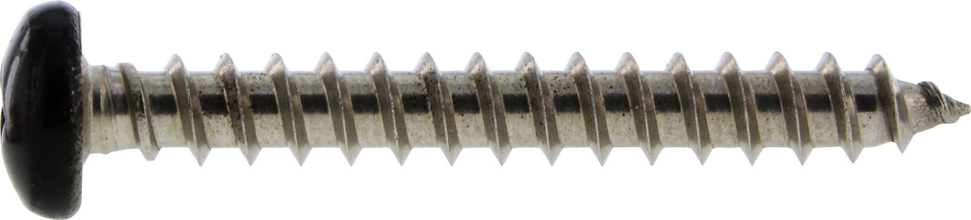 Fas-n-Tite #9 x 1-1/2-in Stainless steel Exterior Lattice screws ( 24 ...