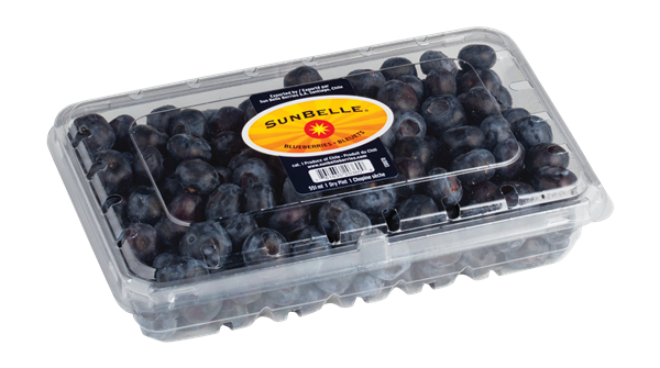 Blueberries 1 pint | Shipt