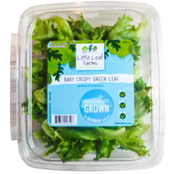 Little Leaf Farms Lettuce Blend - Baby Crispy Green Leaf 4 oz | Shipt