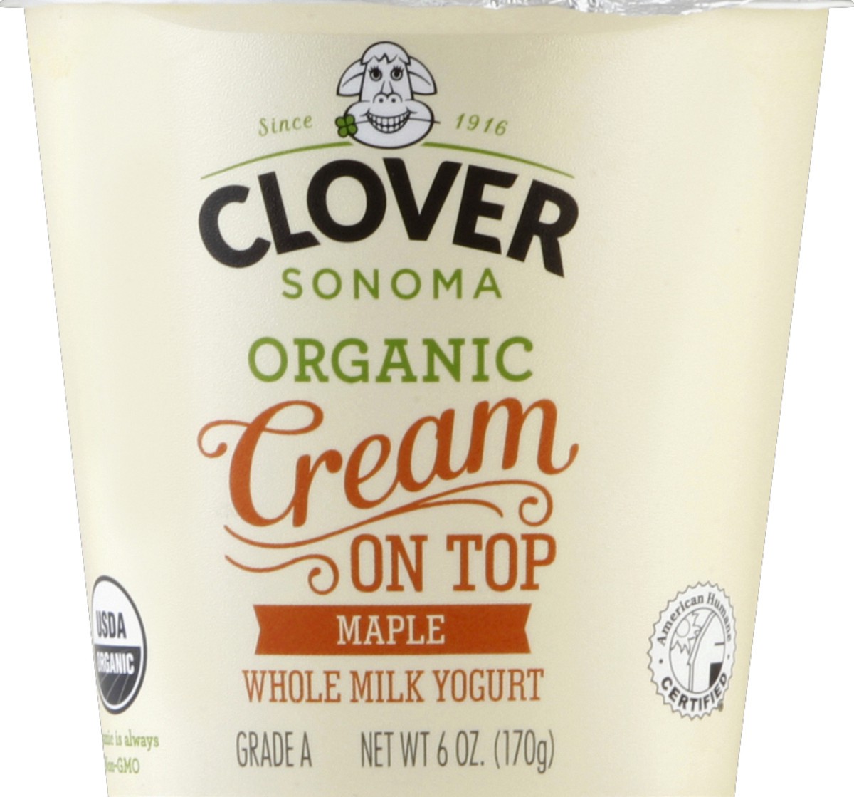 Clover Sonoma Whole Milk Organic Cream on Top Maple Yogurt 6 oz | Shipt
