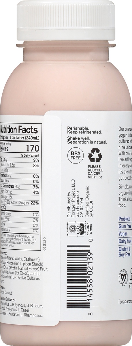 Forager Project Blueberry Organic Dairy-Free Probiotic Cashewmilk ...