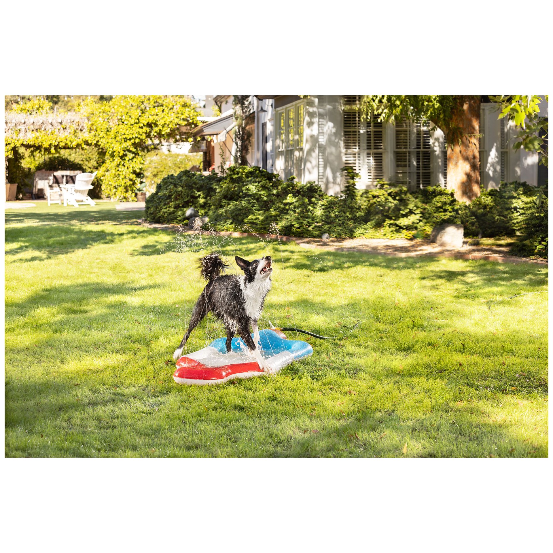 Top Paw Popsicle Summer Splash Pad 1 ct | Shipt