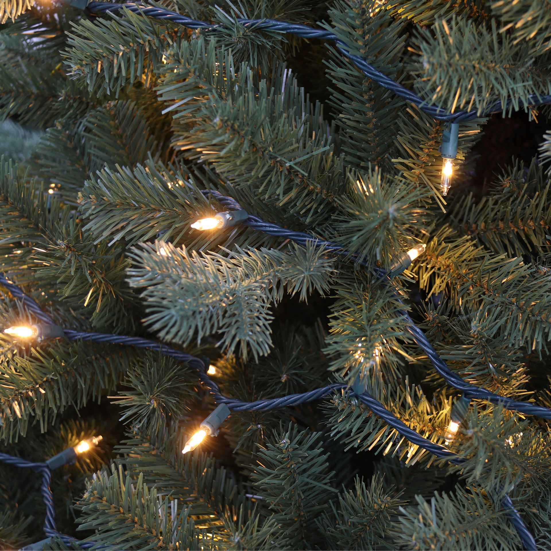 100ct. Warm White Mini Led Glass Twinkling String Lights On Green Wire ...