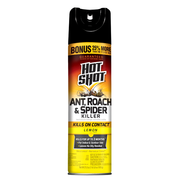 Hot Shot Ant, Roach and Spider Killer 21.875 oz | Shipt