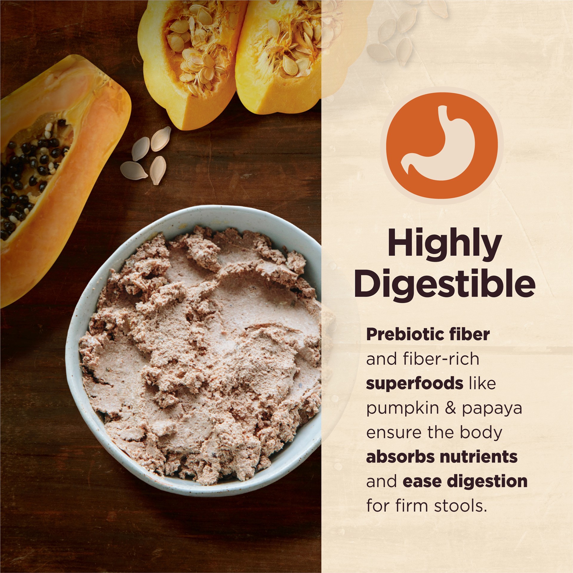 Wellness CORE Digestive Health Grain Free Beef Recipe Wet Dog Food 1 ct ...