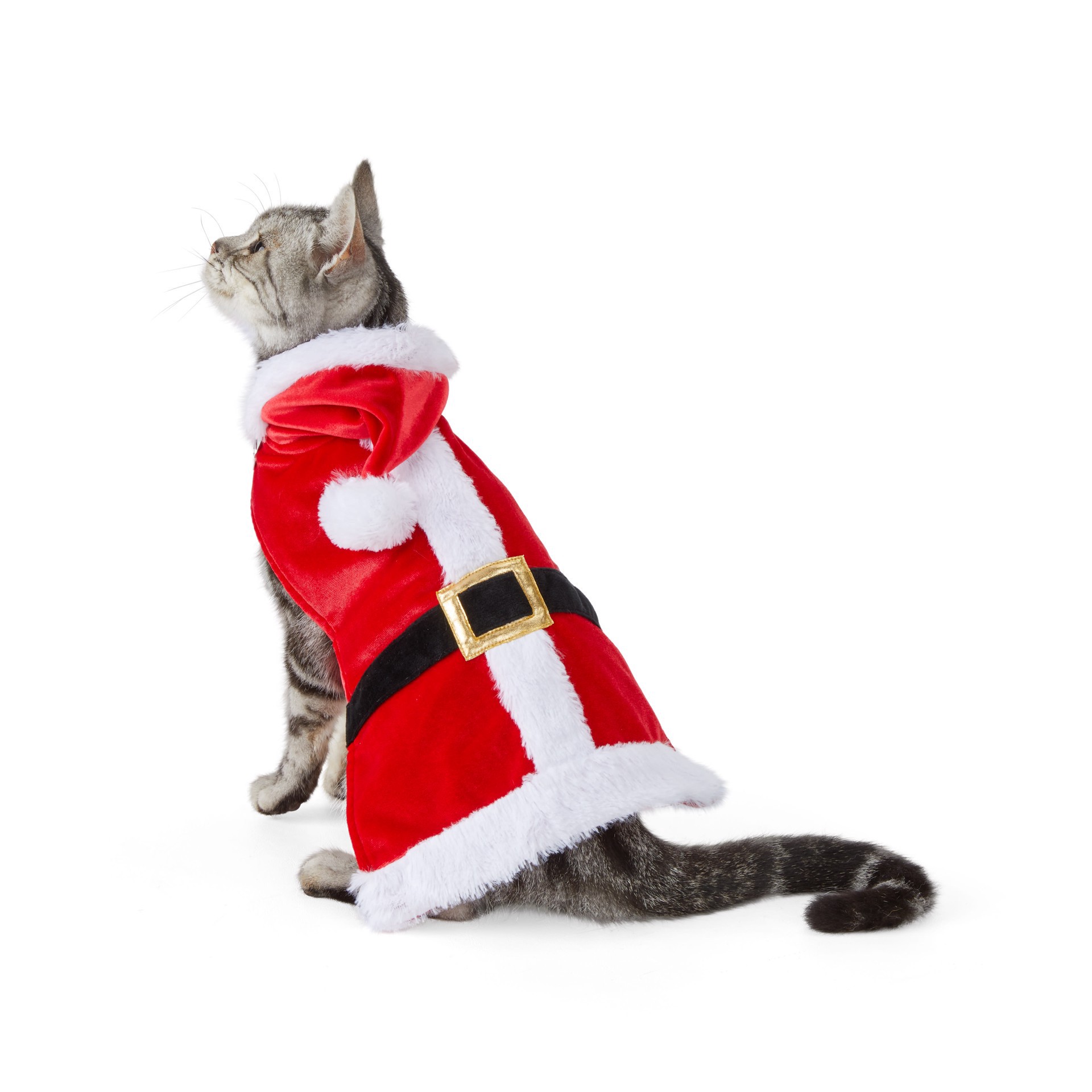 Merry Makings Santa Suit Cat Costume, Small/Medium Sm-Med | shipt