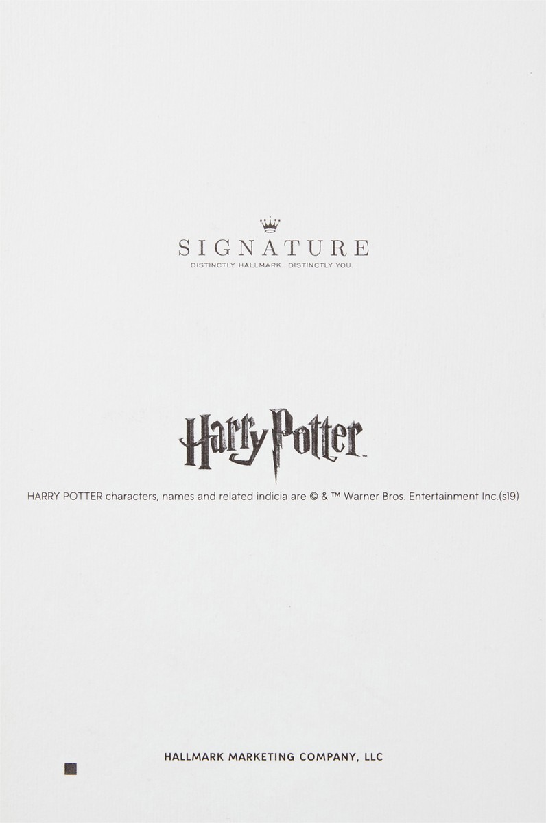 Signature Hallmark Signature Harry Potter Birthday Card (Favorite ...