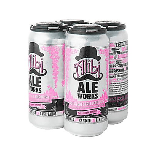 Alibi Ale Works Plum-Cot Berlinerweisse 4 ct | Shipt