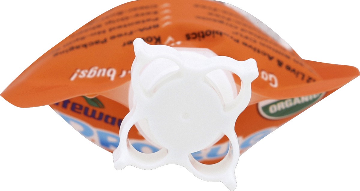 Lifeway Probugs Organic Creamy Orange Kefir 3.5 fl oz | Shipt