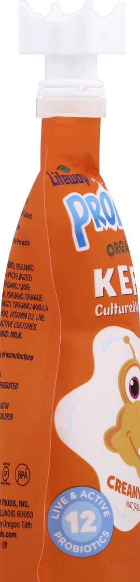 Lifeway Probugs Organic Creamy Orange Kefir 3.5 fl oz | Shipt