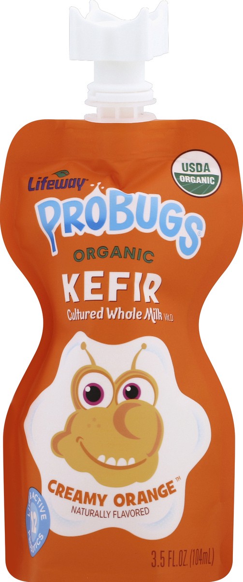 Lifeway Probugs Organic Creamy Orange Kefir 3.5 fl oz | Shipt
