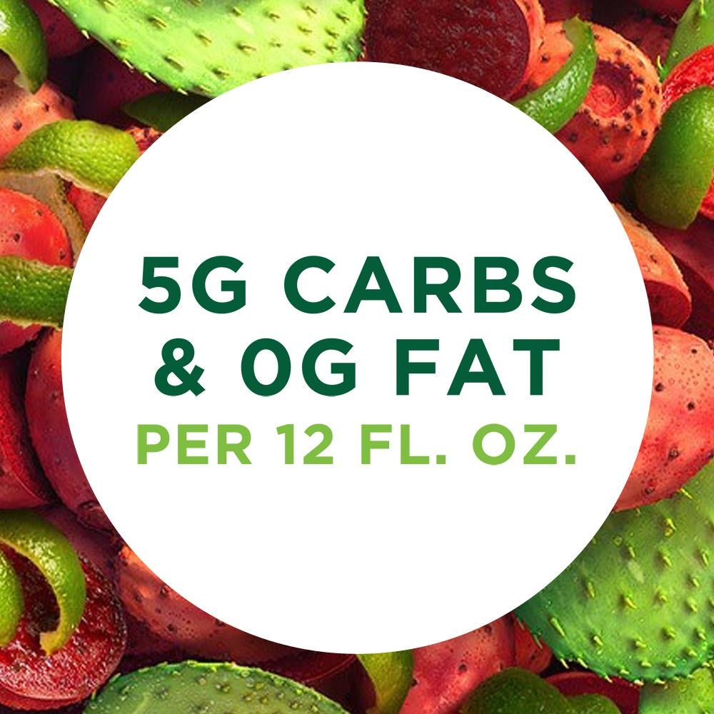 Michelob ULTRA Infusions Lime & Prickly Pear Cactus Light Beer Beer 6 ...