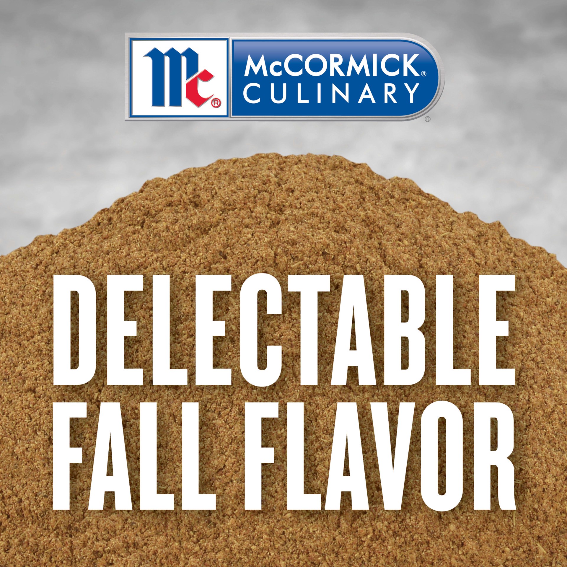 McCormick Culinary Pumpkin Pie Spice 16 oz | Shipt