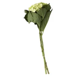 Jolo Farms Mini Hydrangea 2 Stem Garden Bunch 1 ct | Shipt