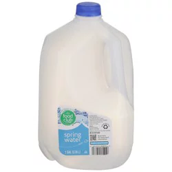 Food Club Spring Water 1 gal | shipt