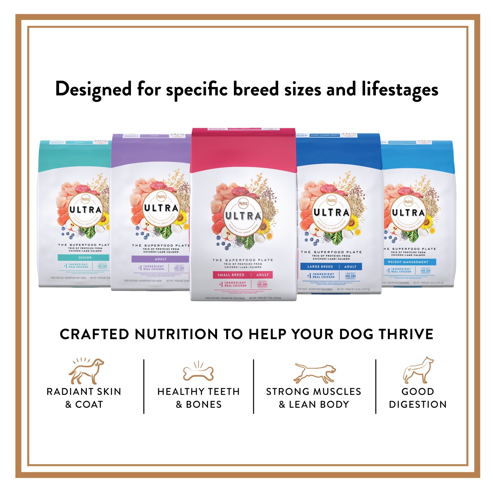 NUTRO ULTRA Adult Small Breed High Protein Natural Dry Dog Food with a ...