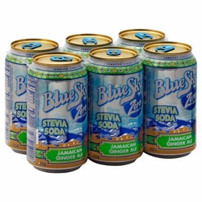 Blue Sky Soda Zero Sugar Ginger Ale Can - 12 Fl. Oz. 12 fl oz | shipt