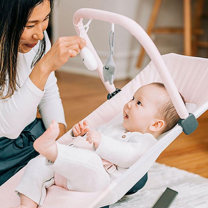 Baby Delight Alpine Deluxe Portable Bouncer - Pink 1 ct | Shipt