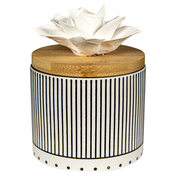 Fusion Miriam Essential Oil Wicking Diffuser 1 ct | shipt